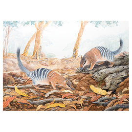 Chris Spiker – Aspects of Kings Park